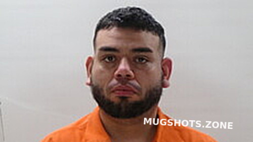 VASQUEZ JUAN ANDRES 03/28/2025 - Cameron County Mugshots Zone