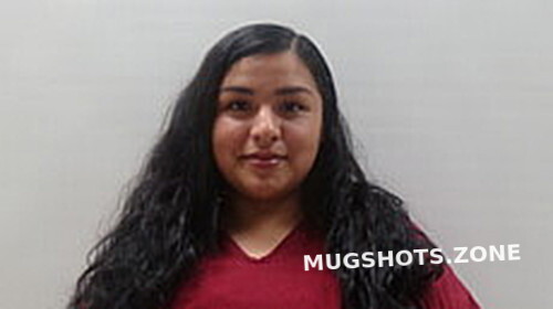 MEDINA ZENAIDA JAQUELIN 04/03/2025 - Cameron County Mugshots Zone