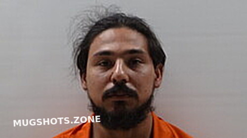 Anaya Alexis 04 12 2025 Cameron County Mugshots Zone