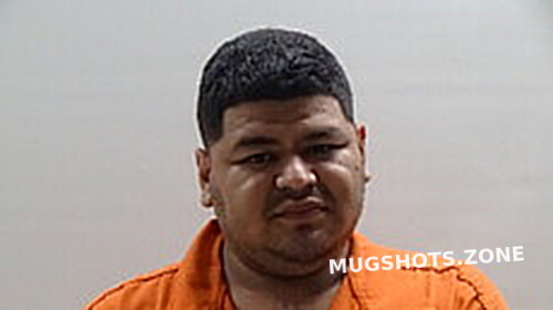 MEDRANO JOSE FILIBERTO 04/15/2025 - Cameron County Mugshots Zone