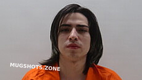 PERRONE JAMES PETER 04/16/2025 - Cameron County Mugshots Zone