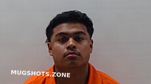 BALBUENA CHRISTOPHER ANTONIO 04/20/2025 - Cameron County Mugshots Zone