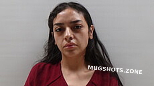 LEDEZMA ALEJANDRA 04/30/2025 - Cameron County Mugshots Zone