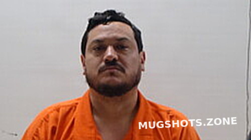 DELGADO ALEJANDRO JR 05/01/2025 - Cameron County Mugshots Zone