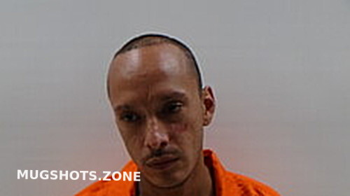 PUGA RENE MICHAEL 05/17/2025 - Cameron County Mugshots Zone