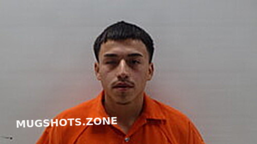 FLORES MATTHEW ANDREW 05/22/2025 - Cameron County Mugshots Zone