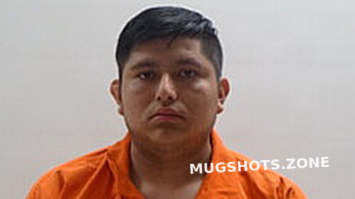 FERNANDEZ RAMIREZ JESUS 06/10/2025 - Cameron County Mugshots Zone