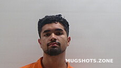 NAVA GALLARDO CARLOS ALBERTO 06/14/2025 - Cameron County Mugshots Zone
