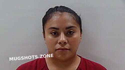 RAMIREZ TINA MARIE 06/15/2025 - Cameron County Mugshots Zone