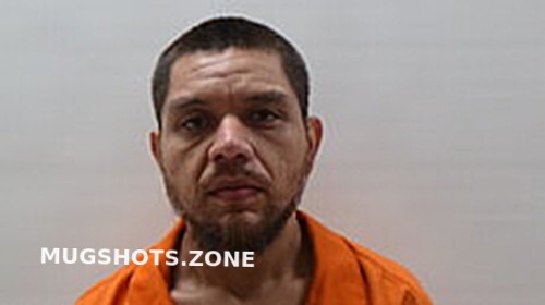 YANEZ MATTHEW 06/17/2025 - Cameron County Mugshots Zone