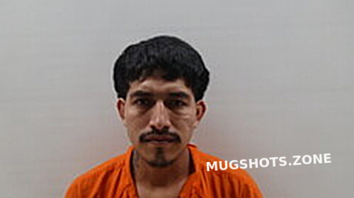 VALERIO MOLINA JOSE ARDANI 06/21/2025 - Cameron County Mugshots Zone