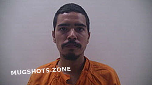 FLORES STEVEN ALEJANDRO 06/24/2025 - Cameron County Mugshots Zone