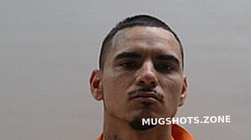 FERNANDEZ ROLANDO 07/04/2025 - Cameron County Mugshots Zone