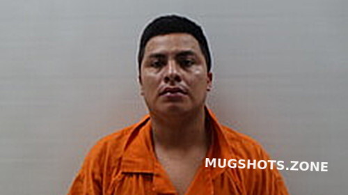 ROSAS CAMILO BILLASECA 07/16/2025 - Cameron County Mugshots Zone