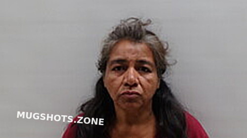 MARTINEZ MARIA ELENA 08/11/2025 - Cameron County Mugshots Zone