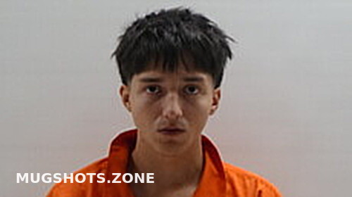 ESCOBEDO DAVID JARRELL 09/01/2025 - Cameron County Mugshots Zone