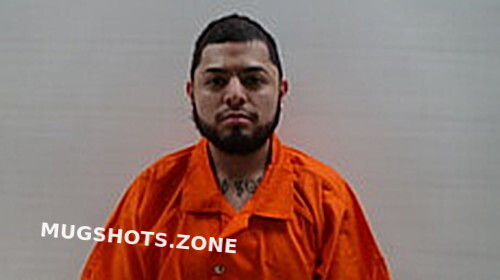 CONTRERAS LEONEL ADOLFO 10/24/2025 - Cameron County Mugshots Zone