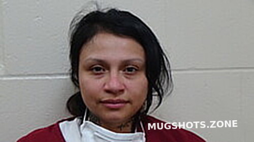 MENDOZA PRISCILLA NICOLE 02/05/2026 - Cameron County Mugshots Zone