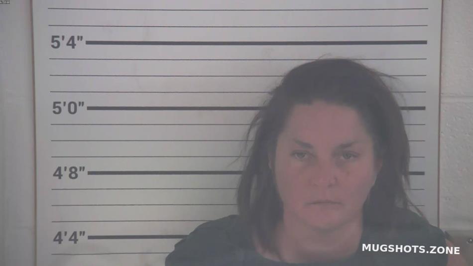 CLEMENTS HEATHER MARIE 10/08/2024 - Campbell County Mugshots Zone