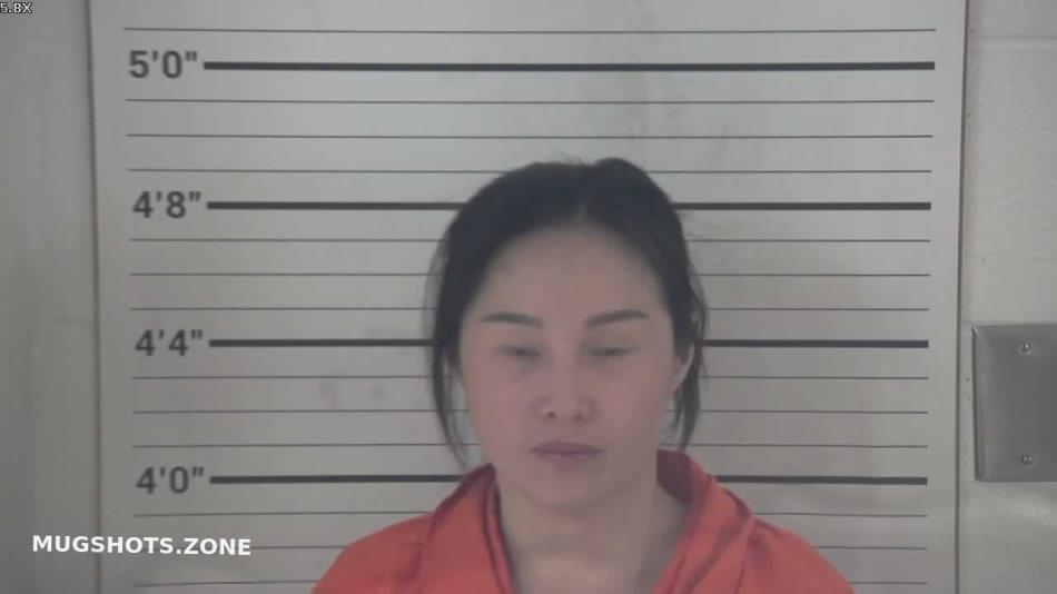 WU LI 05/16/2025 - Campbell County Mugshots Zone