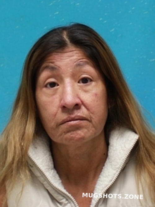 SHELLEY STEVENS 04/29/2025 - Cape Girardeau County Mugshots Zone