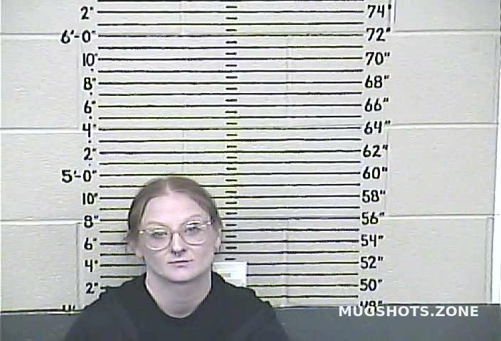 MERRILL BRITTANY LYNN 06/01/2024 - Carter County Mugshots Zone