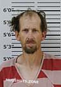 WILSON MICHAEL SCOTT 11/08/2024 - Carter County Mugshots Zone
