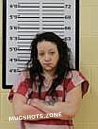 PERKINS CHELSEA SHEA 02/22/2025 - Carter County Mugshots Zone