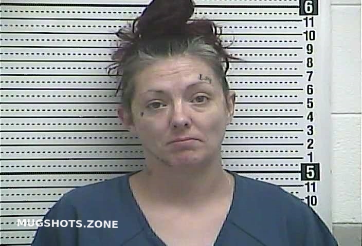HILL / LOWERY CASSANDRA JEAN 10/04/2022 - Casey County Mugshots Zone
