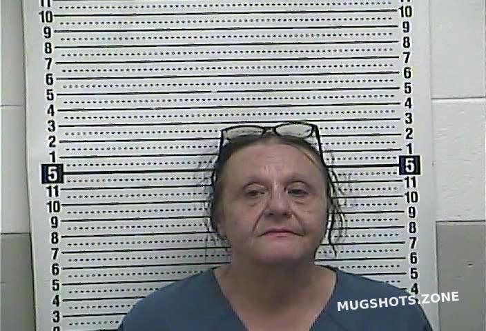 STEVENSON WANDA MICHELLE 06/26/2024 - Casey County Mugshots Zone