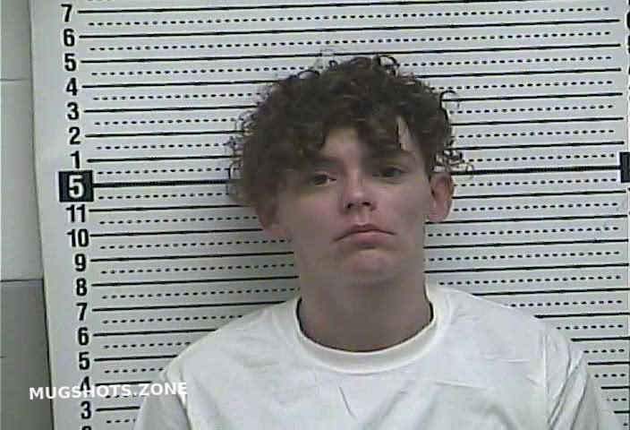 Williams Natasha 08 22 2024 Casey County Mugshots Zone