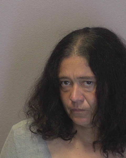 MALAVE LORENDA ANN 04/28/2021 - Catawba County Mugshots Zone