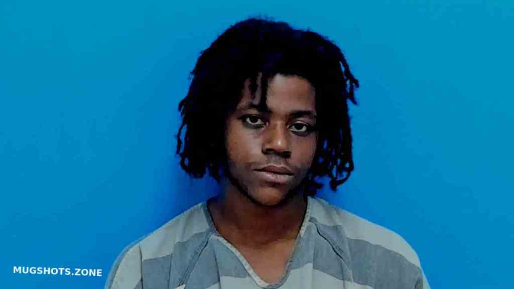 MASON TAVIAN LEE 10/21/2024 - Catawba County Mugshots Zone