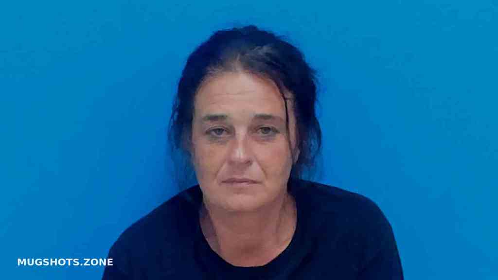 SHELL ERIN OLIVIA 11/14/2024 - Catawba County Mugshots Zone