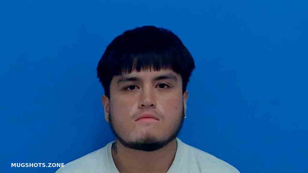 HERNANDEZ-LOZA AXEL 11/16/2024 - Catawba County Mugshots Zone