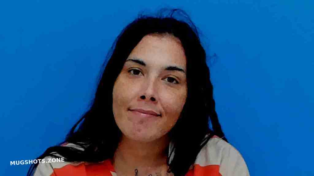 DRIGGERS BRITTANY DAWN 12/27/2024 - Catawba County Mugshots Zone