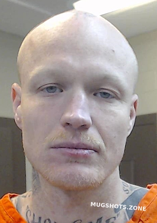 WILSON JOSHUA 03/24/2022 - Cedar County Mugshots Zone