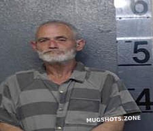 RAY FRANK ALVIN 02/10/2021 - Chambers County Mugshots Zone