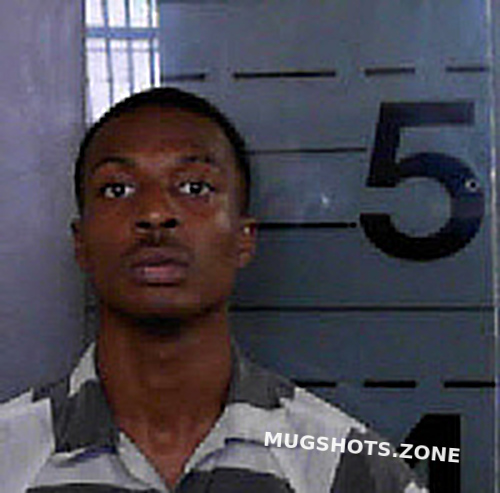 DAVIS CHRISTOPHER ISAAC 07/13/2023 - Chambers County Mugshots Zone