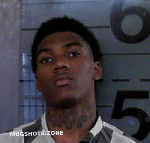 JACKSON ONAJE NASIR 12/28/2023 - Chambers County Mugshots Zone