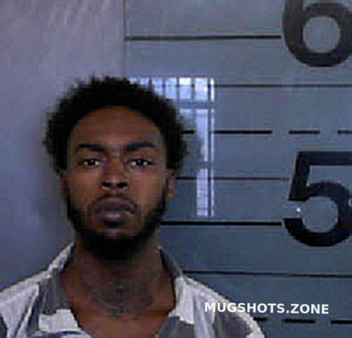 HOLLOWAY ZACHERY TYLER 02/07/2024 - Chambers County Mugshots Zone