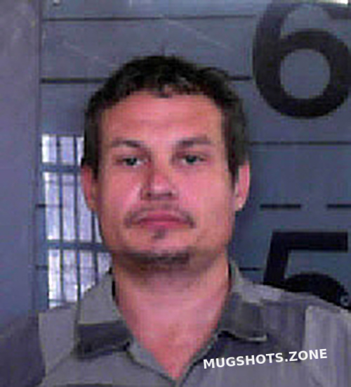 DAVIS JASON ALLEN 03/02/2024 - Chambers County Mugshots Zone