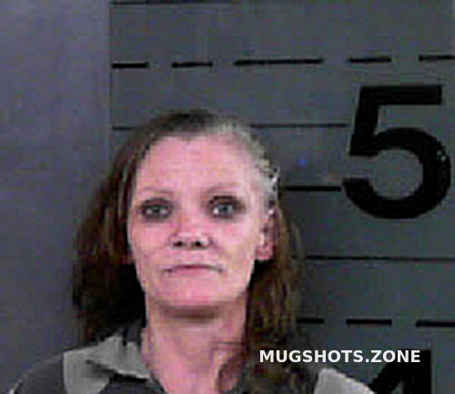 DUTTON JILL NICOLE 05/17/2024 - Chambers County Mugshots Zone