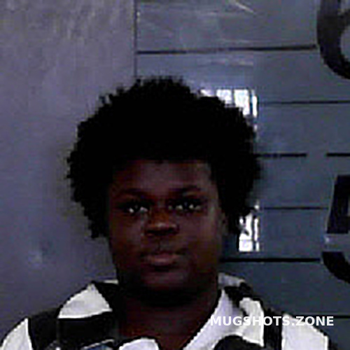 SCROGGINS CHELSEA 08/12/2024 - Chambers County Mugshots Zone