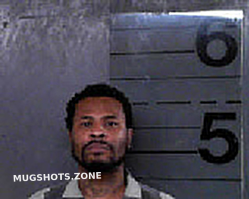 RUSHIN DARON ELLIS 08/28/2024 - Chambers County Mugshots Zone