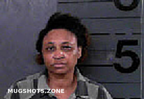 LEWIS CALLIE JEAN 09/18/2024 - Chambers County Mugshots Zone