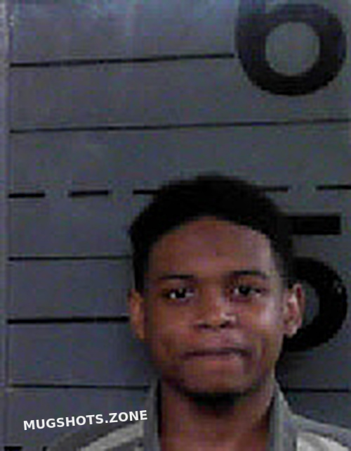 HOLLOWAY TEKEMBRA AMIR 09/22/2024 - Chambers County Mugshots Zone
