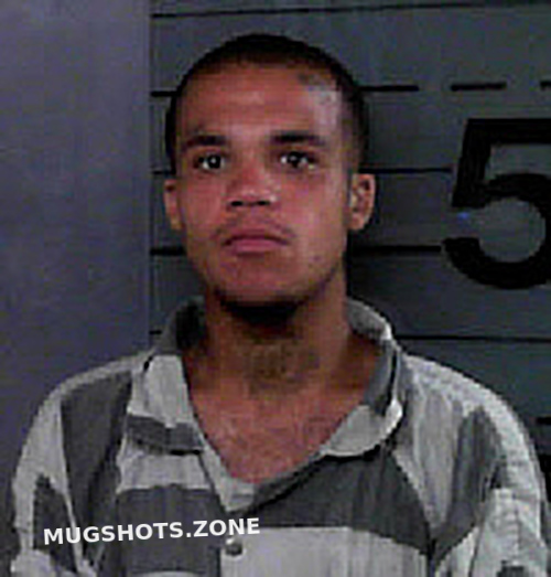 TRAMMELL DEMETRIUS DION 10/22/2024 - Chambers County Mugshots Zone