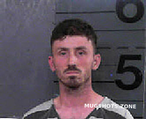 AYALA ROBERT GABRIEL 11/14/2024 - Chambers County Mugshots Zone