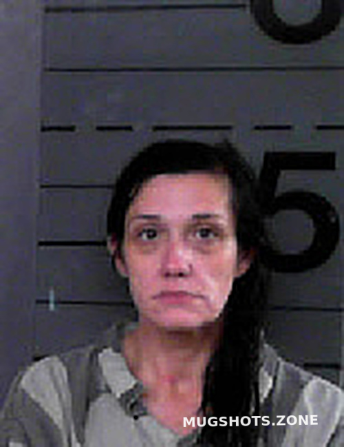 RAY JENNIFER MARIE 11/15/2024 - Chambers County Mugshots Zone